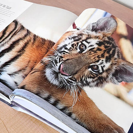 Custom Book Printing Services | BookBaby