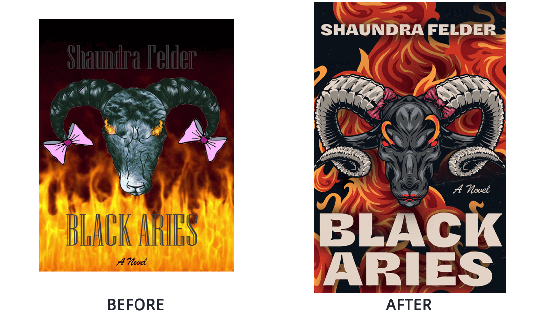 Book Cover Designers | Print & eBook Covers | BookBaby