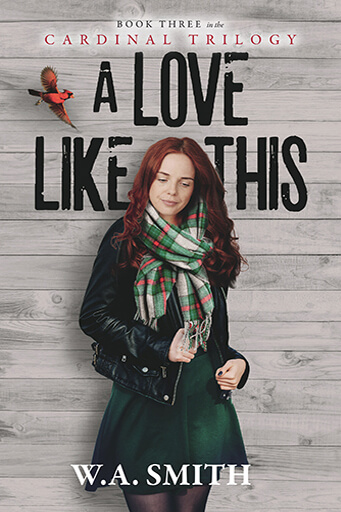 Fiction Book Cover Design | BookBaby