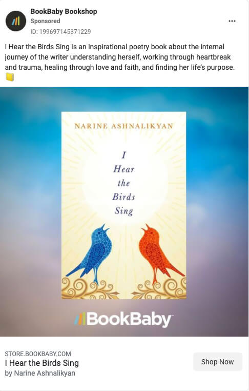 Facebook and Instagram Ads for Authors | BookBaby