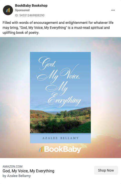 Facebook and Instagram Ads for Authors | BookBaby