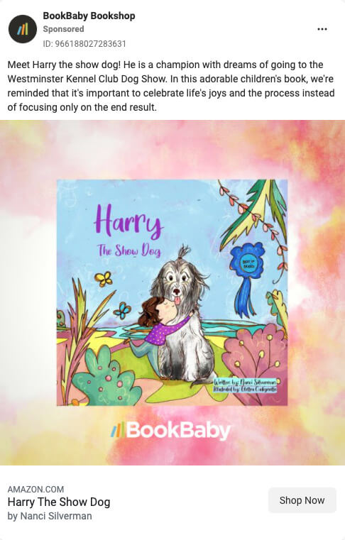 Facebook and Instagram Ads for Authors | BookBaby