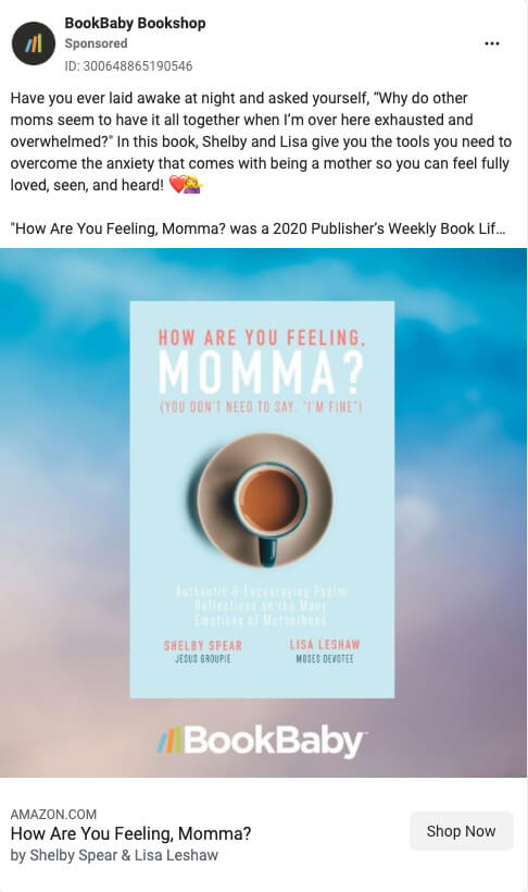 Facebook and Instagram Ads for Authors | BookBaby