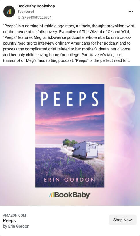 Facebook and Instagram Ads for Authors | BookBaby