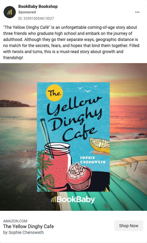 Facebook and Instagram Ads for Authors | BookBaby